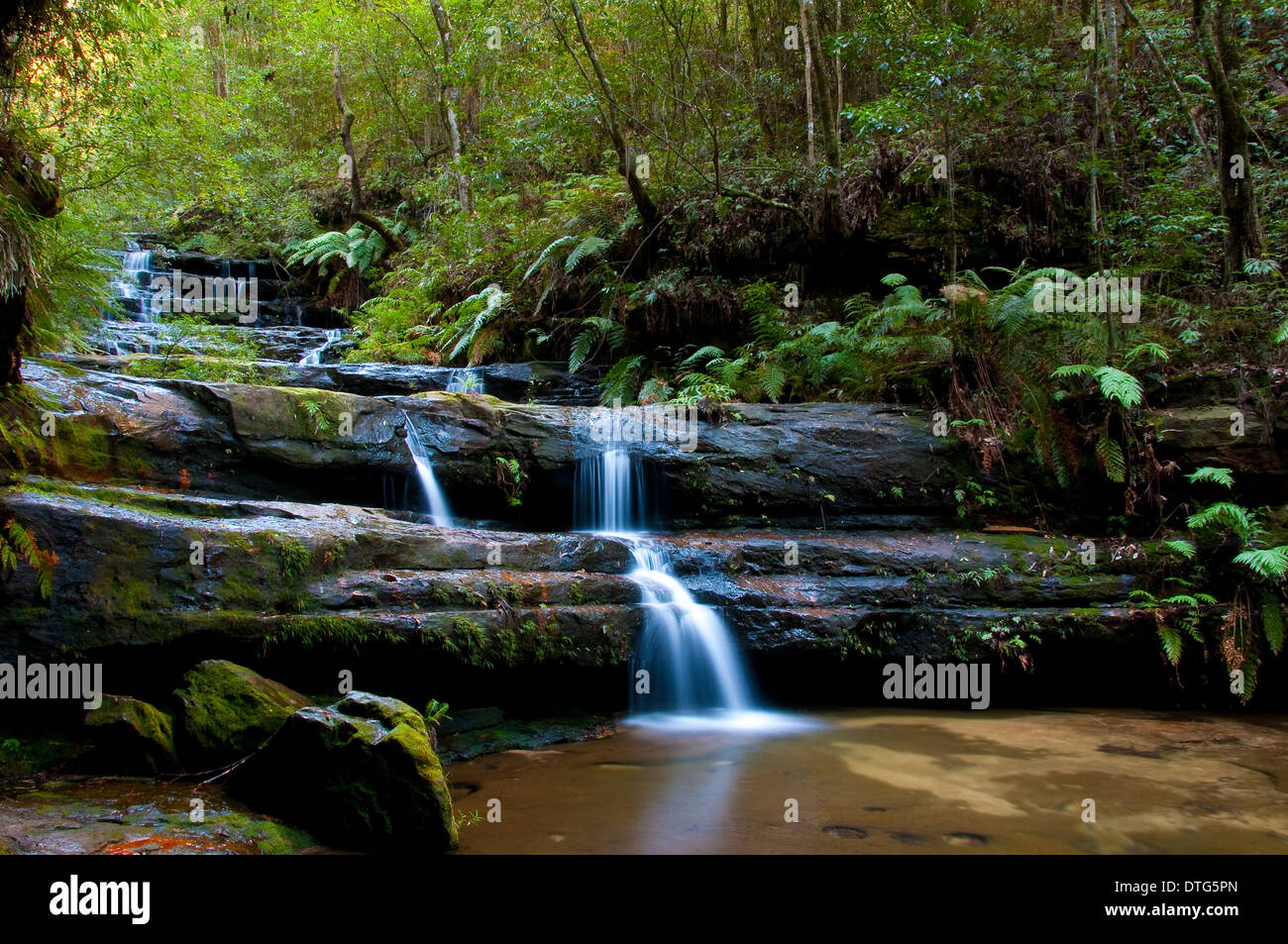 Hazelbrook hi-res stock photography and images - Alamy