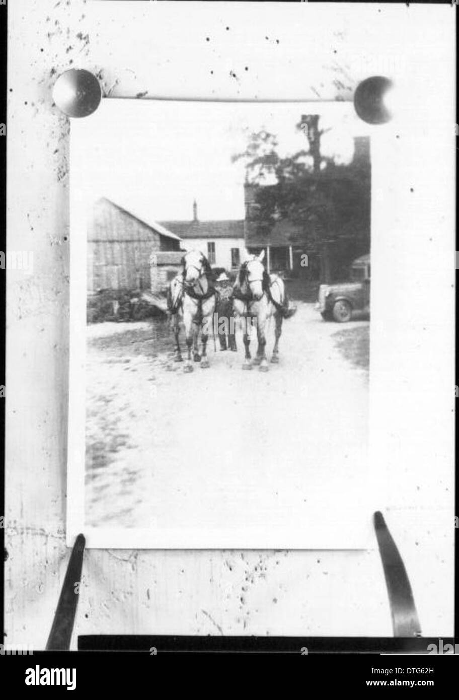 Photograph man horse from Black and White Stock Photos & Images - Alamy