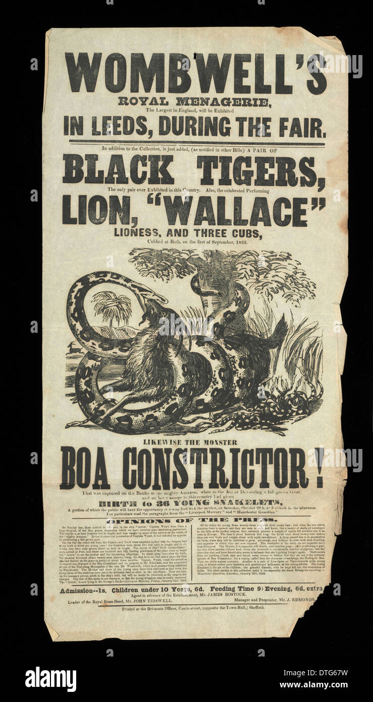 Wombwell show hi-res stock photography and images - Alamy