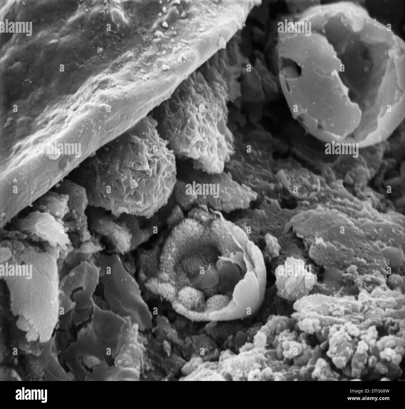 At surface Black and White Stock Photos & Images - Alamy