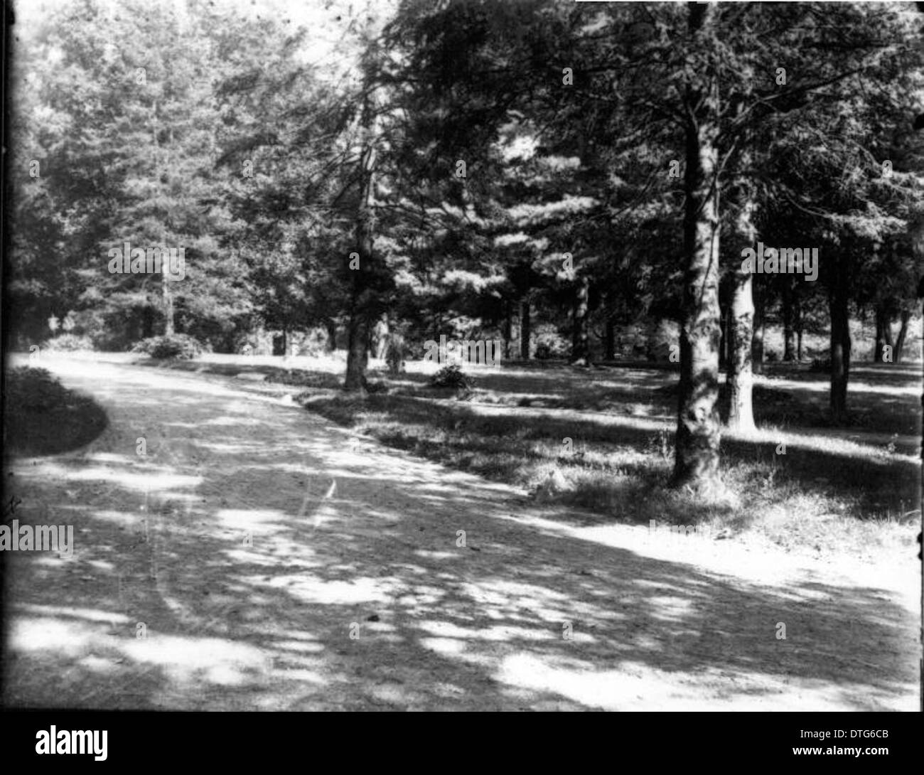This photograph depicts a scenic path winding through the Miami ...