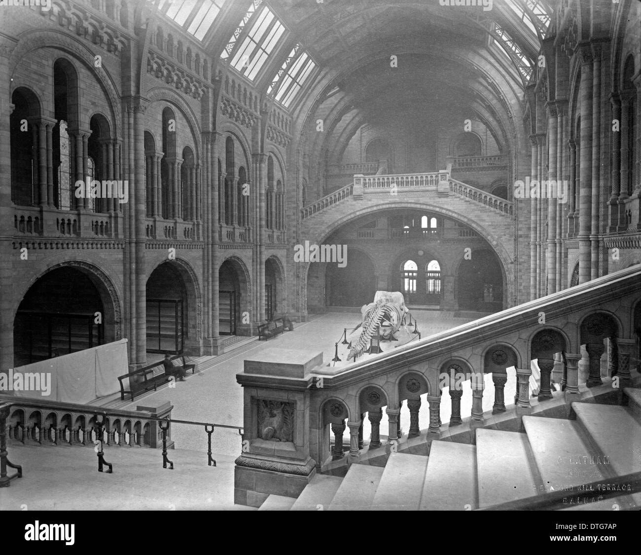 1882 hi-res stock photography and images - Alamy