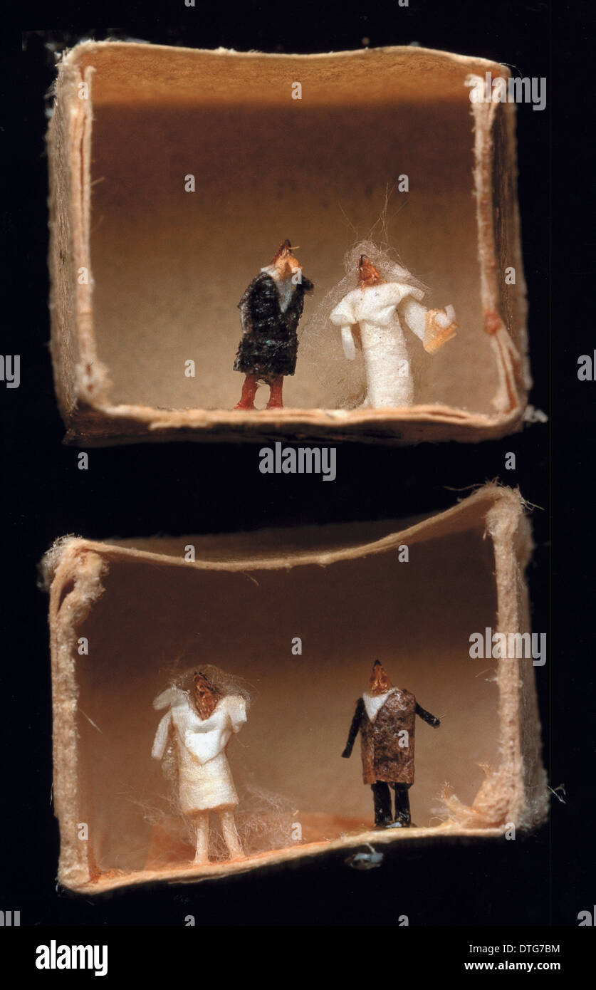 Fleas insect flea insect hi-res stock photography and images - Alamy