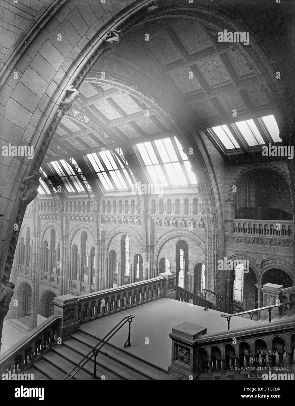 Botany 19th century Black and White Stock Photos & Images - Alamy