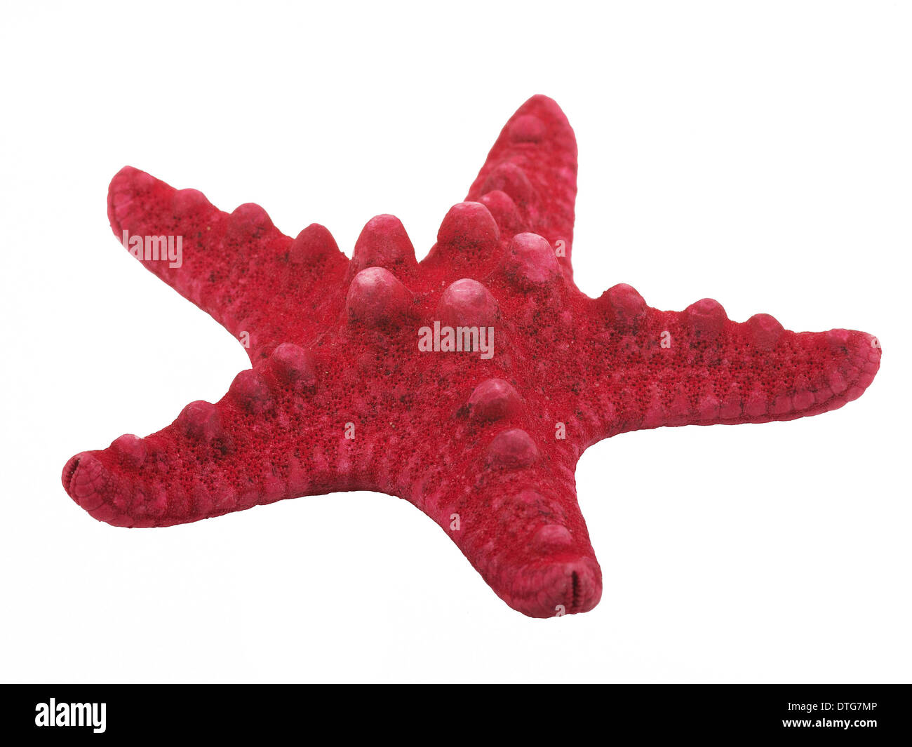 Sea star hi-res stock photography and images - Alamy
