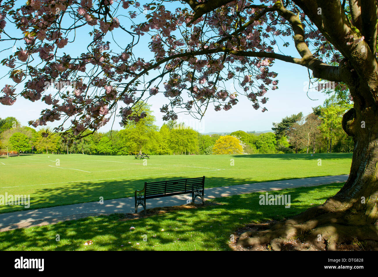 Spring at Woodthorpe Park, Nottingham England UK Stock Photo - Alamy
