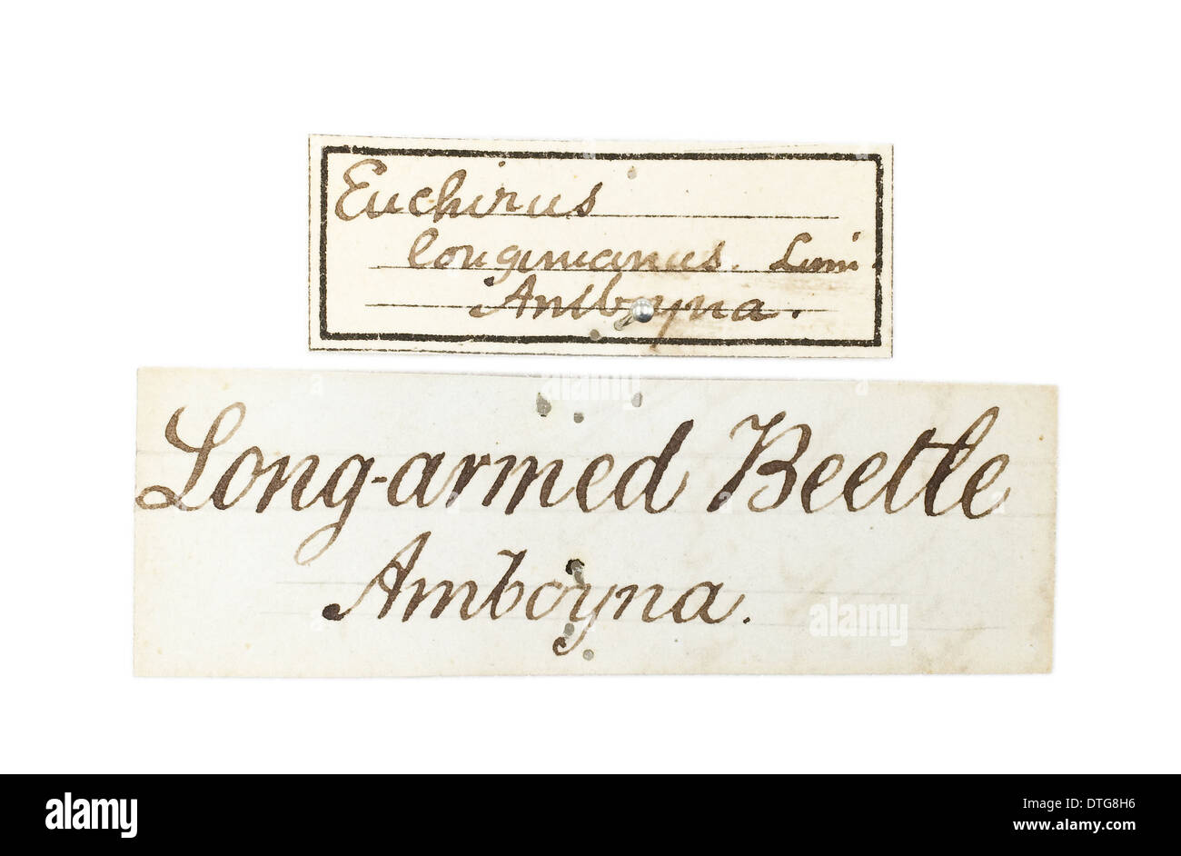 Species label Cut Out Stock Images & Pictures - Alamy