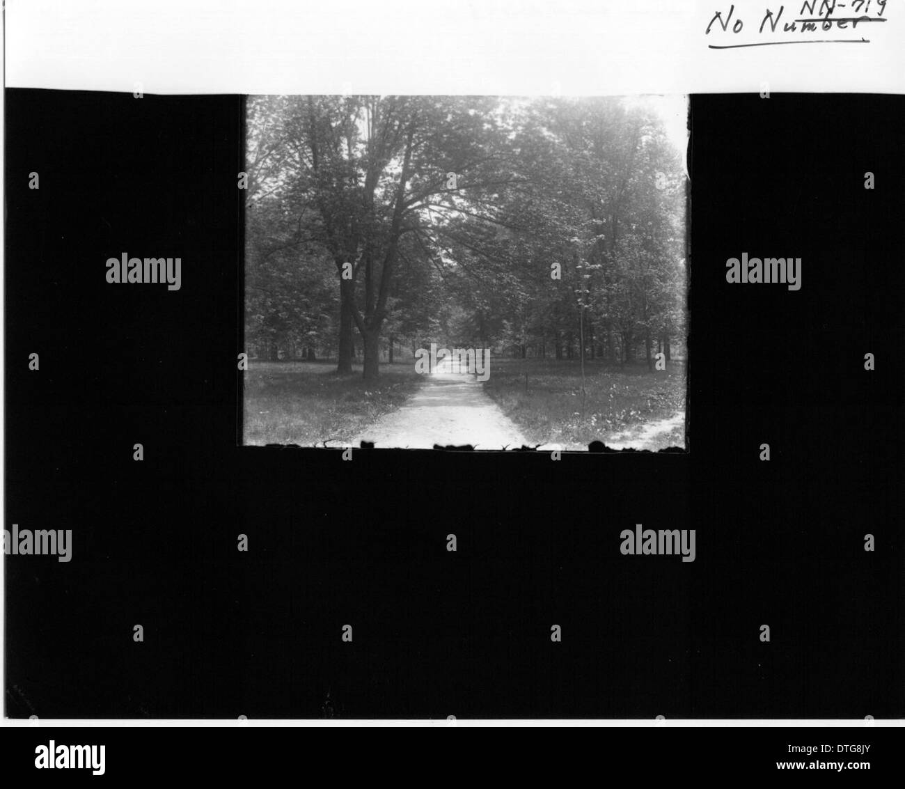 Nature landscape path in Black and White Stock Photos & Images - Alamy