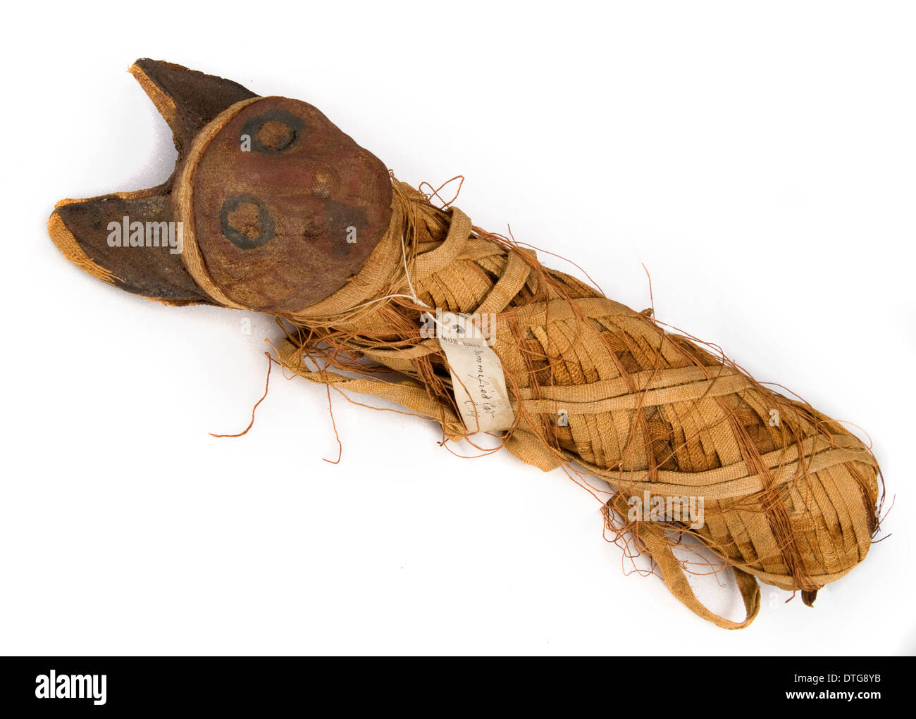 Egyptian mummified cat Stock Photo - Alamy