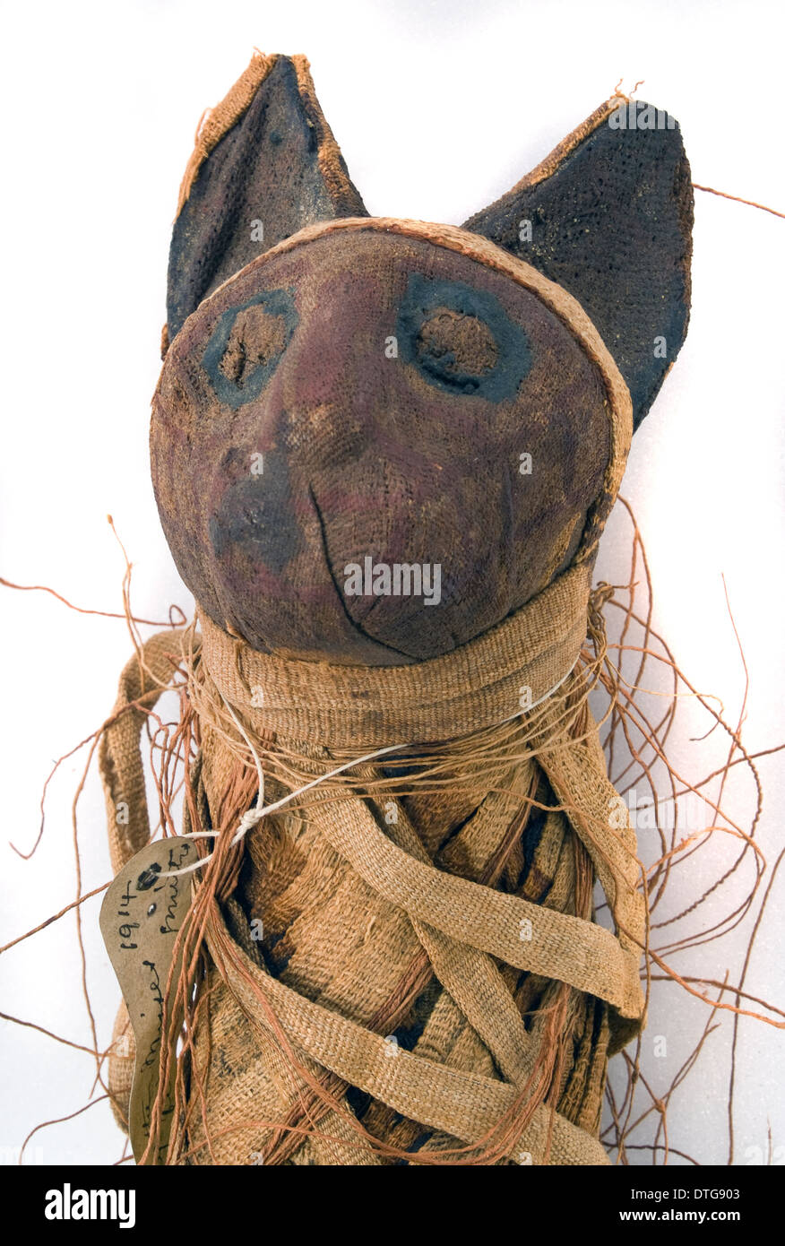 Mummified cat hi-res stock photography and images - Alamy