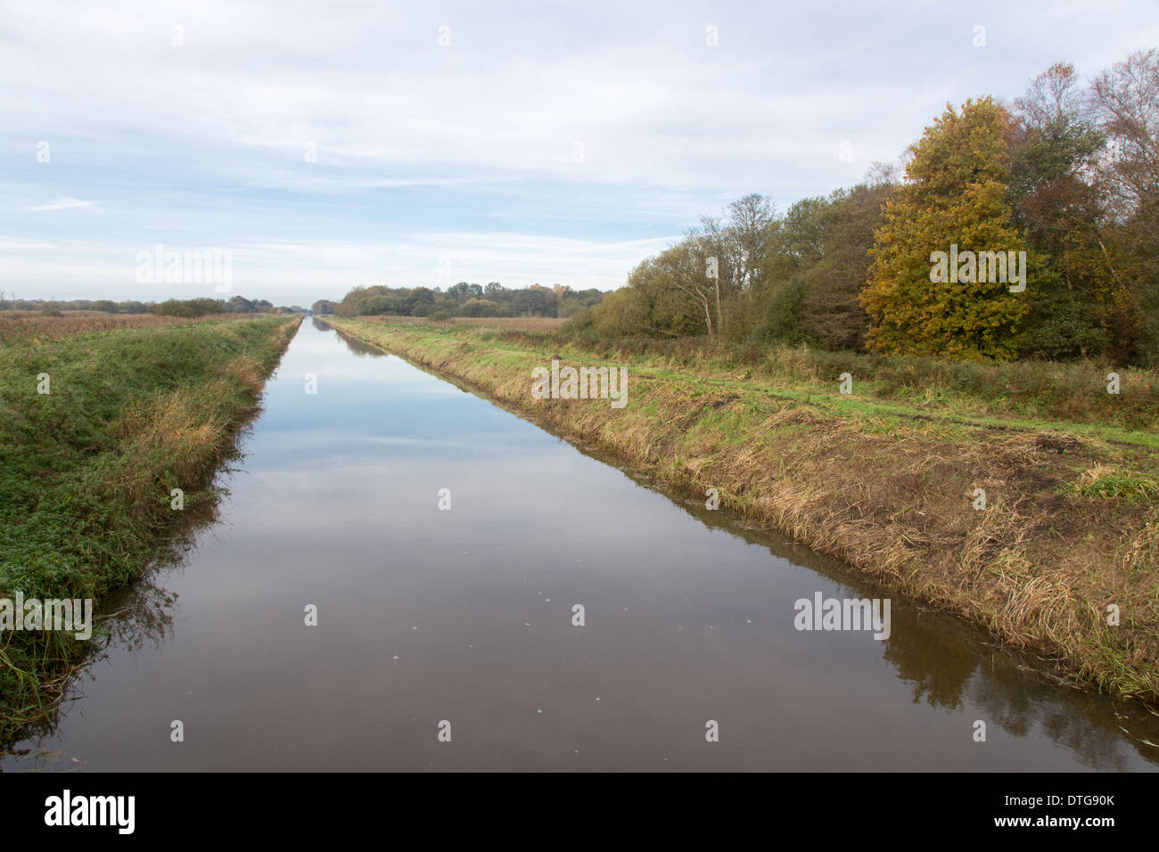 Somerset levels rhynes hi-res stock photography and images - Alamy