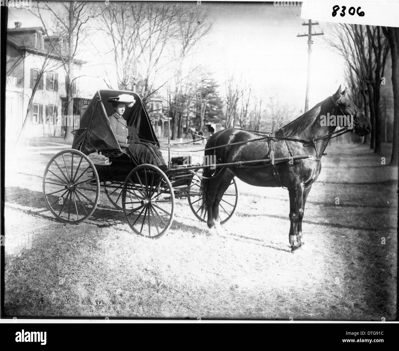 Riding horse carriage woman hi-res stock photography and images - Alamy