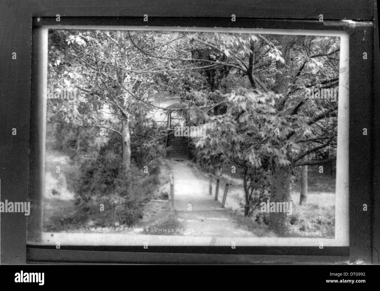 This image depicts a campus path and footbridge leading to a shelter ...
