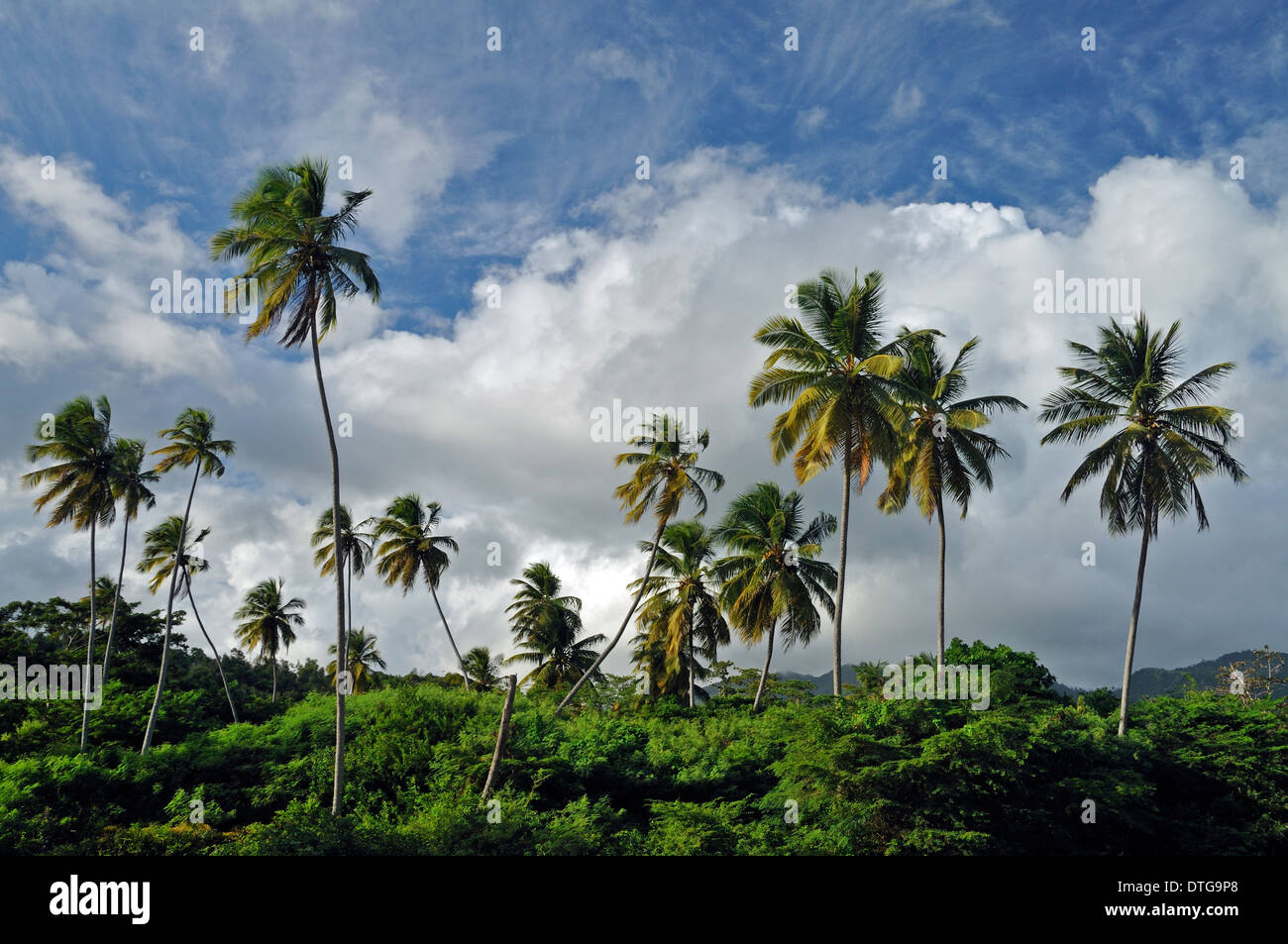 Granada island hi-res stock photography and images - Alamy