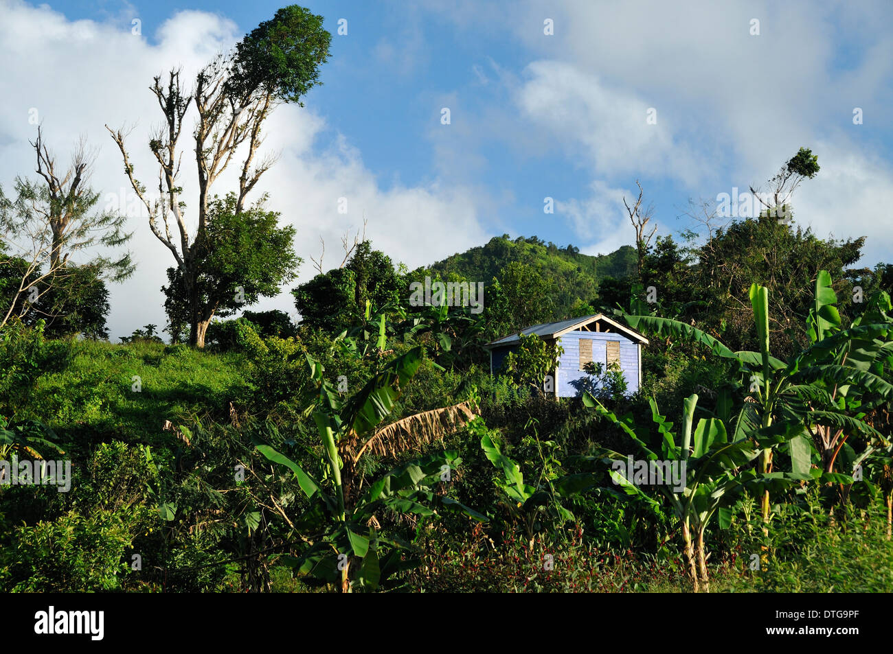 Caribbean house hi-res stock photography and images - Alamy