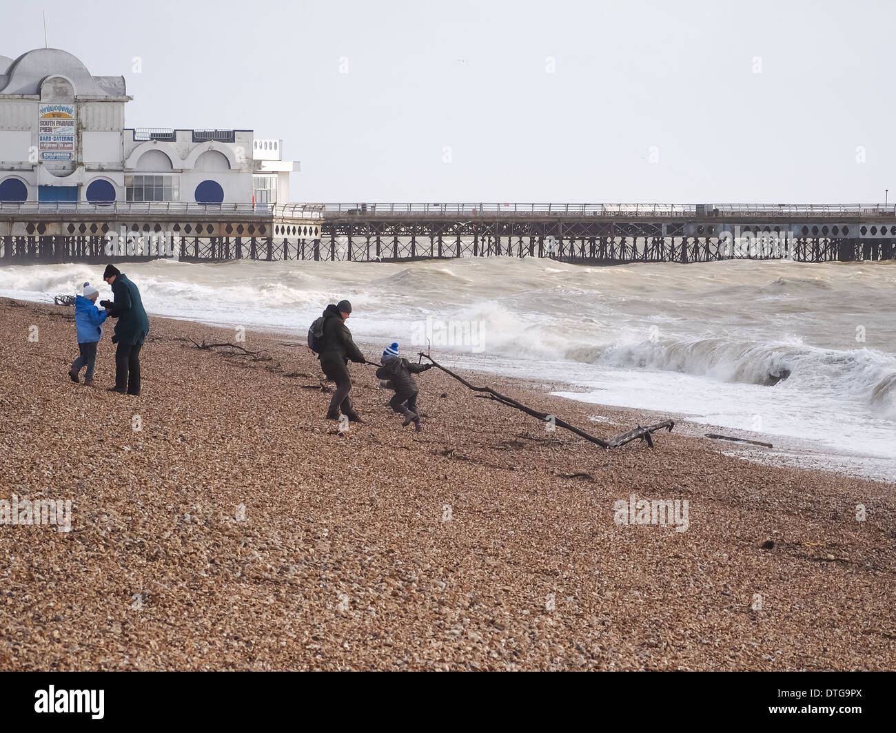 A young boy and a man attempt to drag driftwood up a beach beside ...
