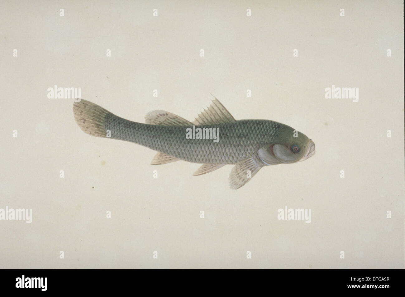 John reeves collection hi-res stock photography and images - Alamy