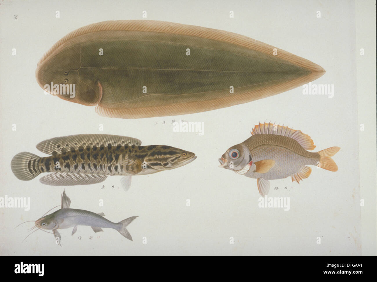 John reeves collection hi-res stock photography and images - Alamy