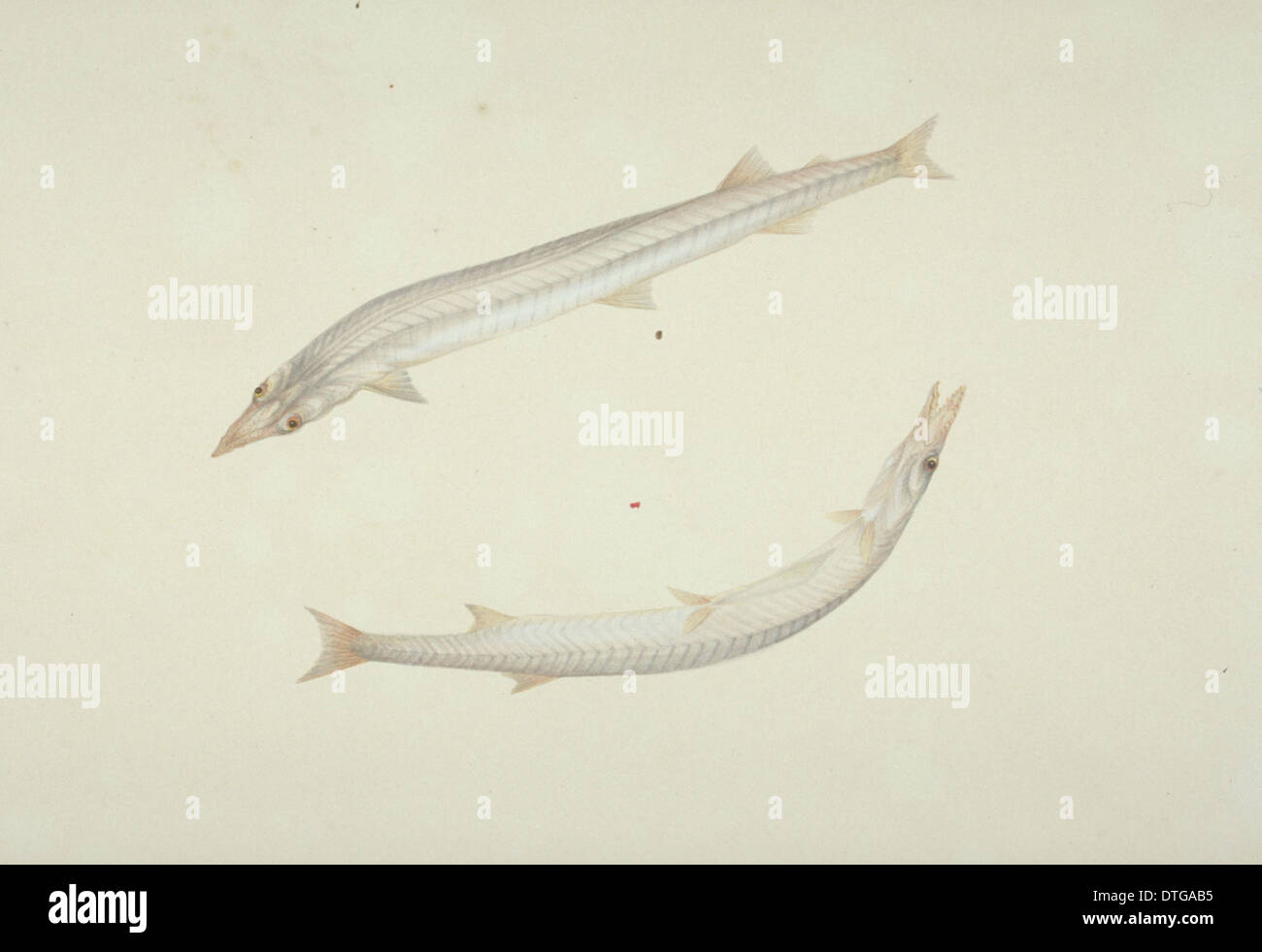 John reeves collection hi-res stock photography and images - Alamy