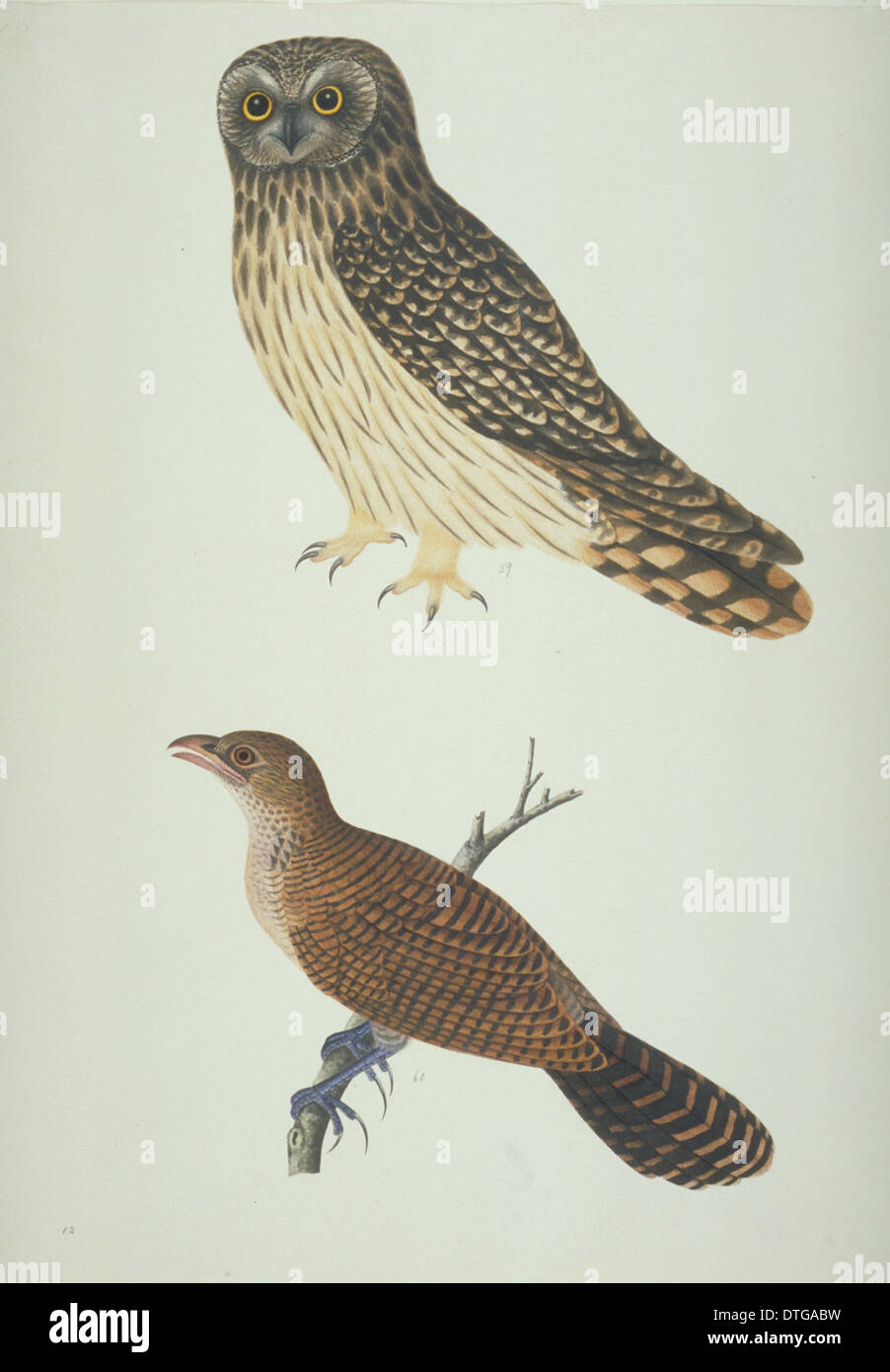 John reeves 1774 1856 hi-res stock photography and images - Alamy