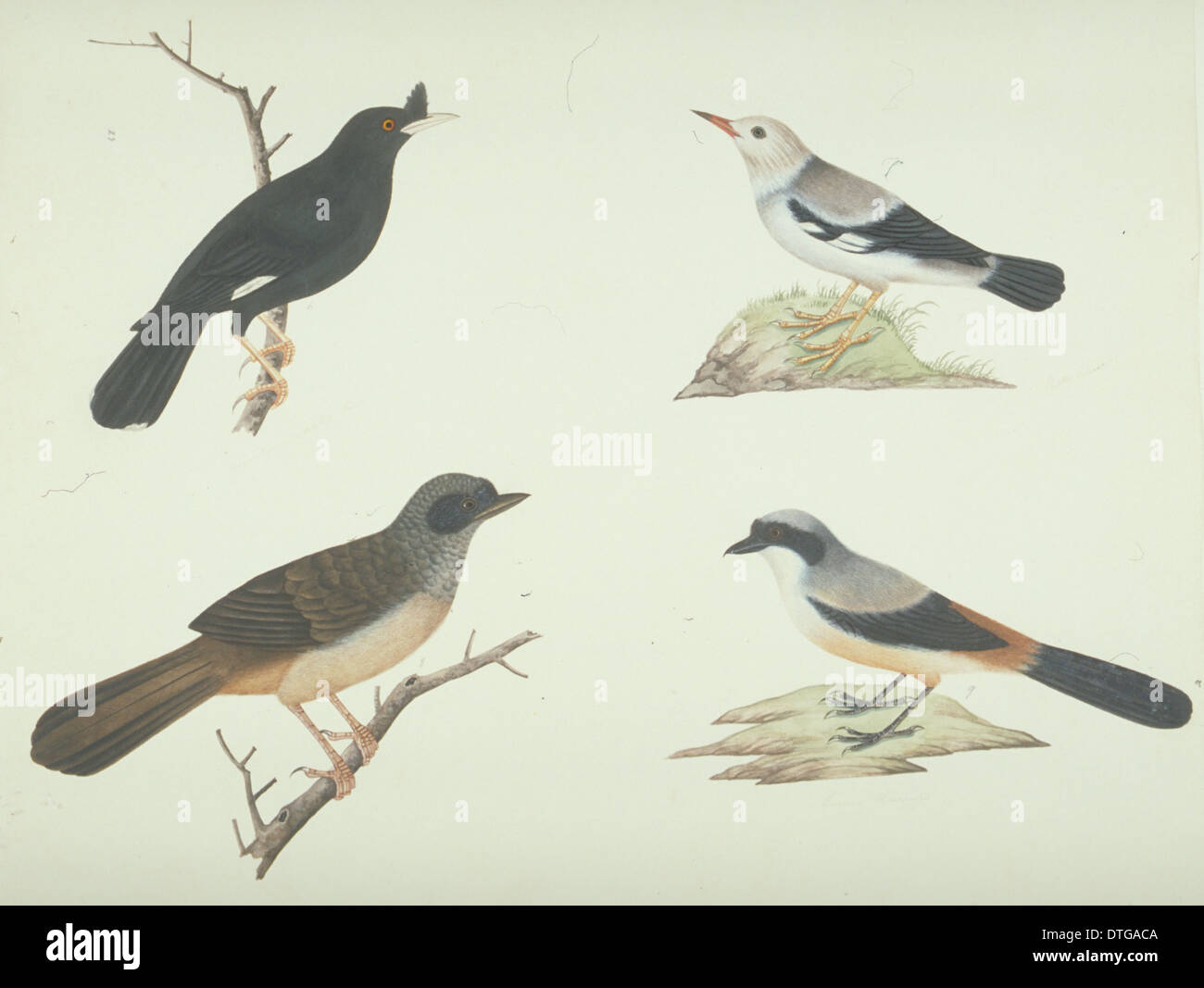 John reeves 1774 1856 hi-res stock photography and images - Alamy