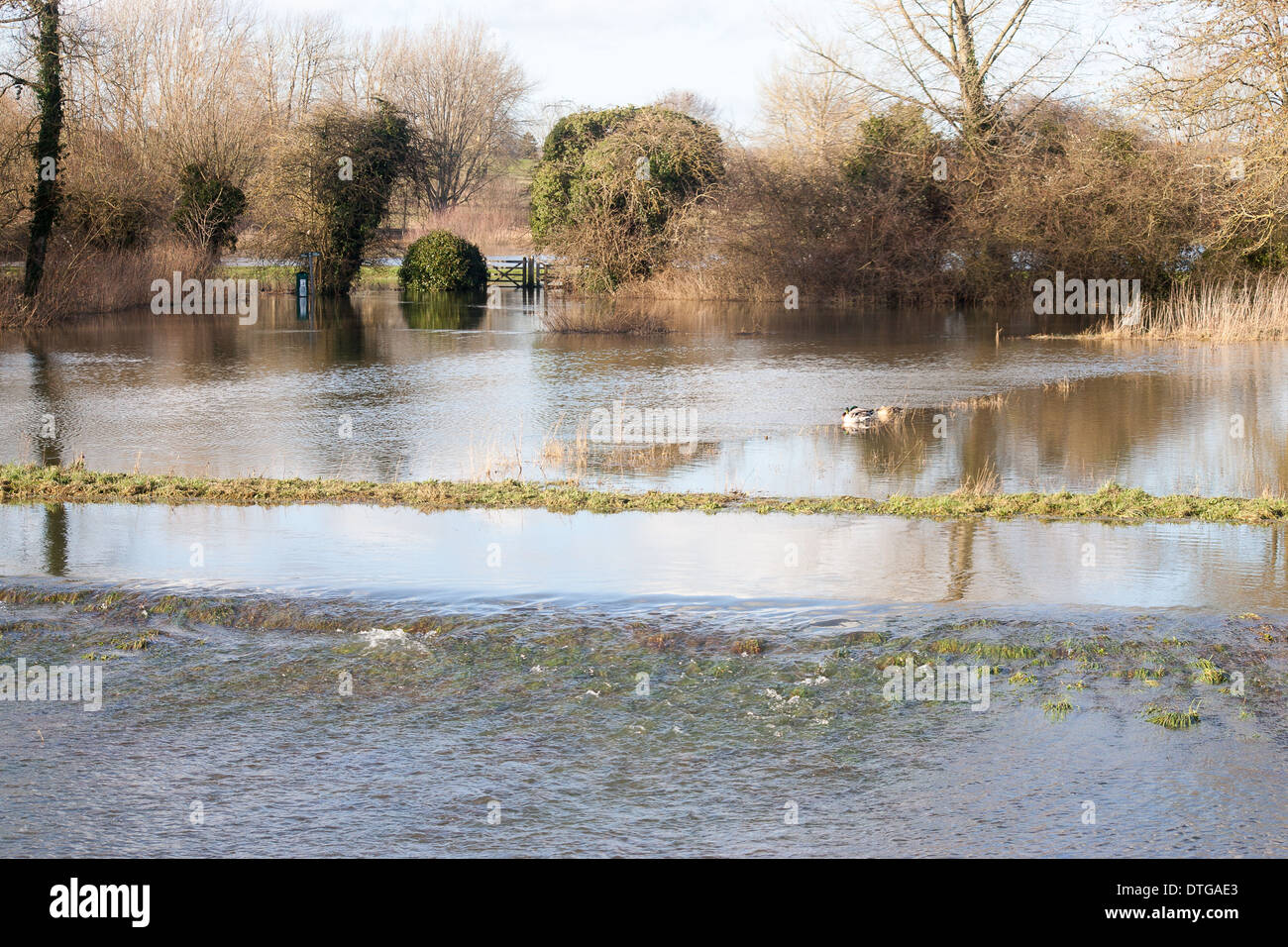 Winter flooding River Thames Stock Photo - Alamy