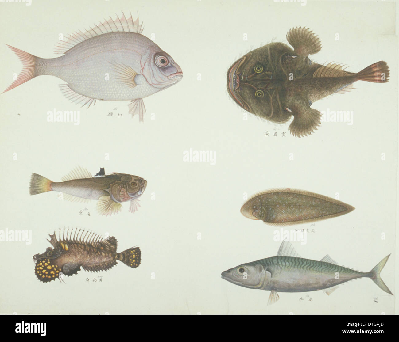 John reeves collection hi-res stock photography and images - Alamy