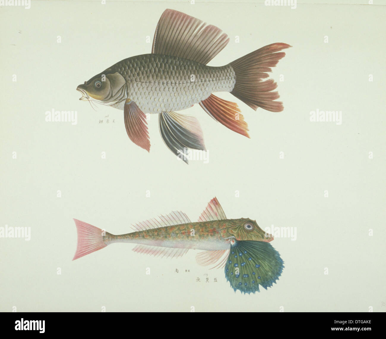 166 hi-res stock photography and images - Alamy