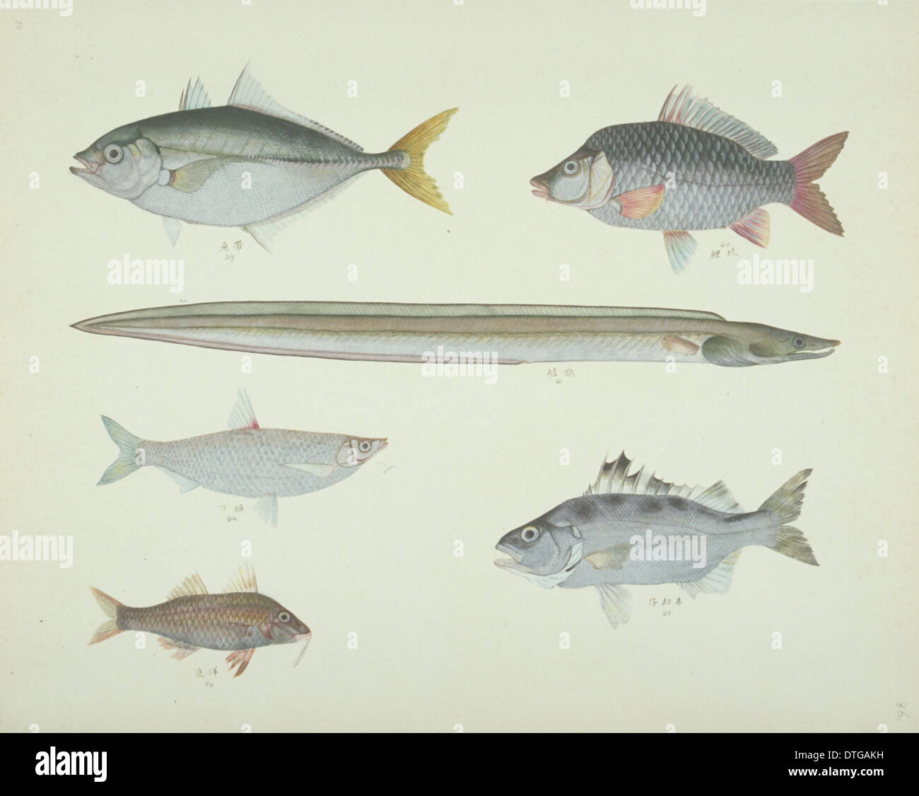 John Reeves Illustration High Resolution Stock Photography and Images ...