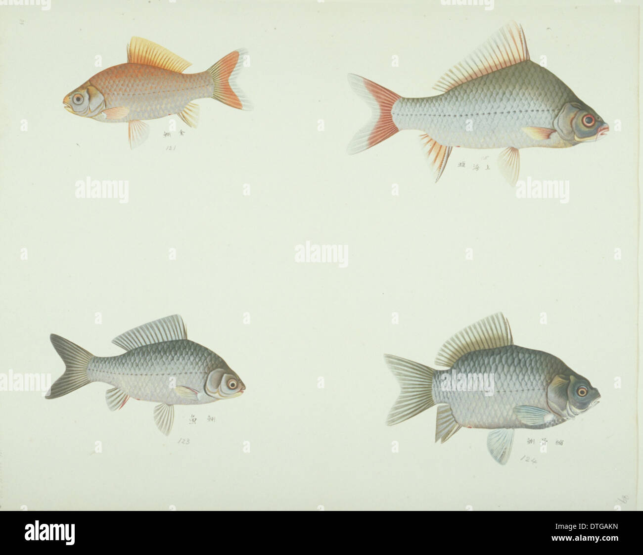 John reeves collection hi-res stock photography and images - Alamy