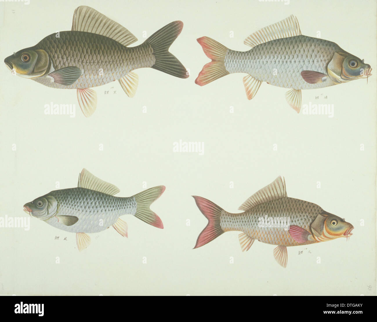 John reeves illustration hi-res stock photography and images - Alamy