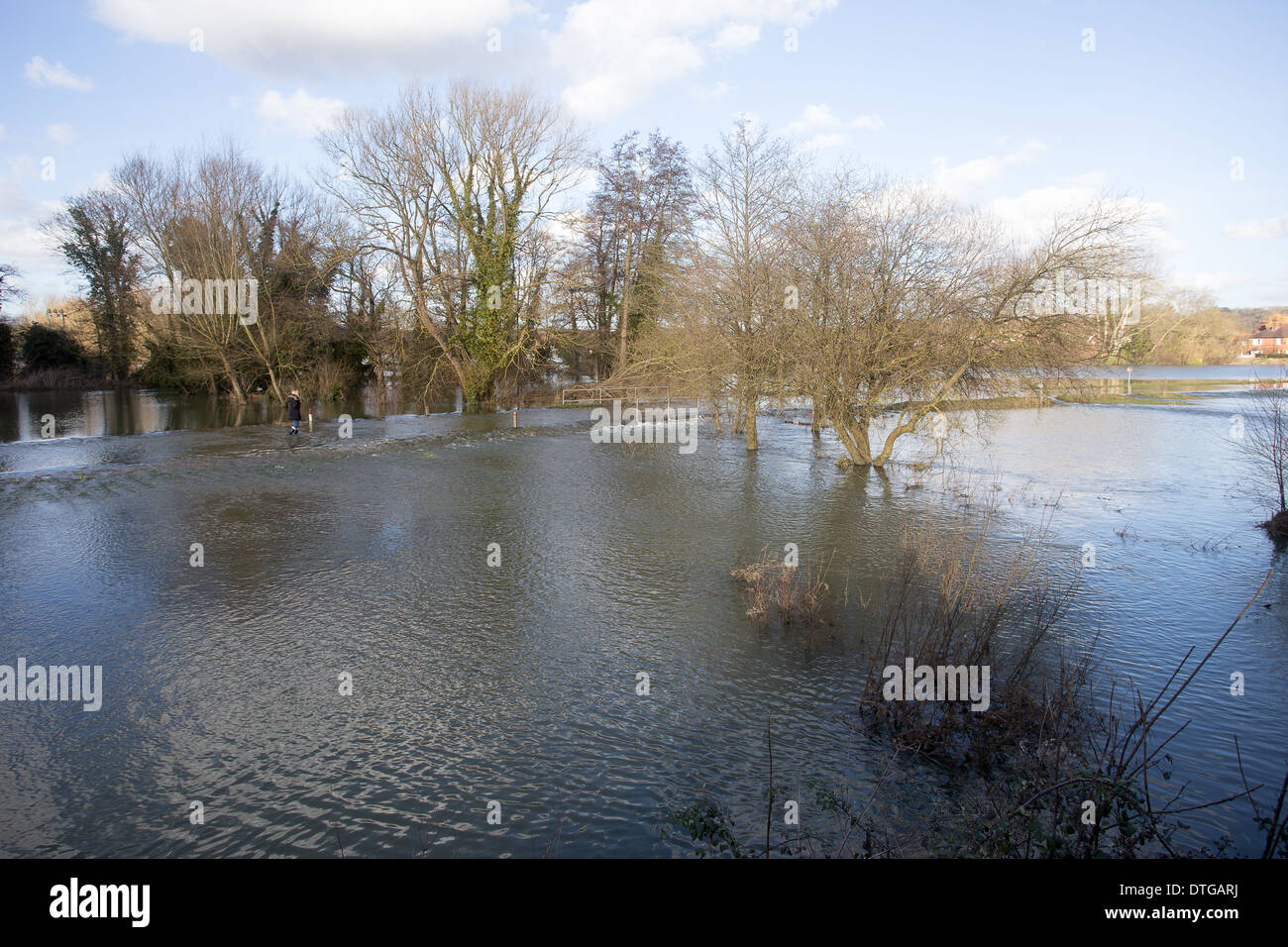 Winter flooding River Thames Stock Photo - Alamy