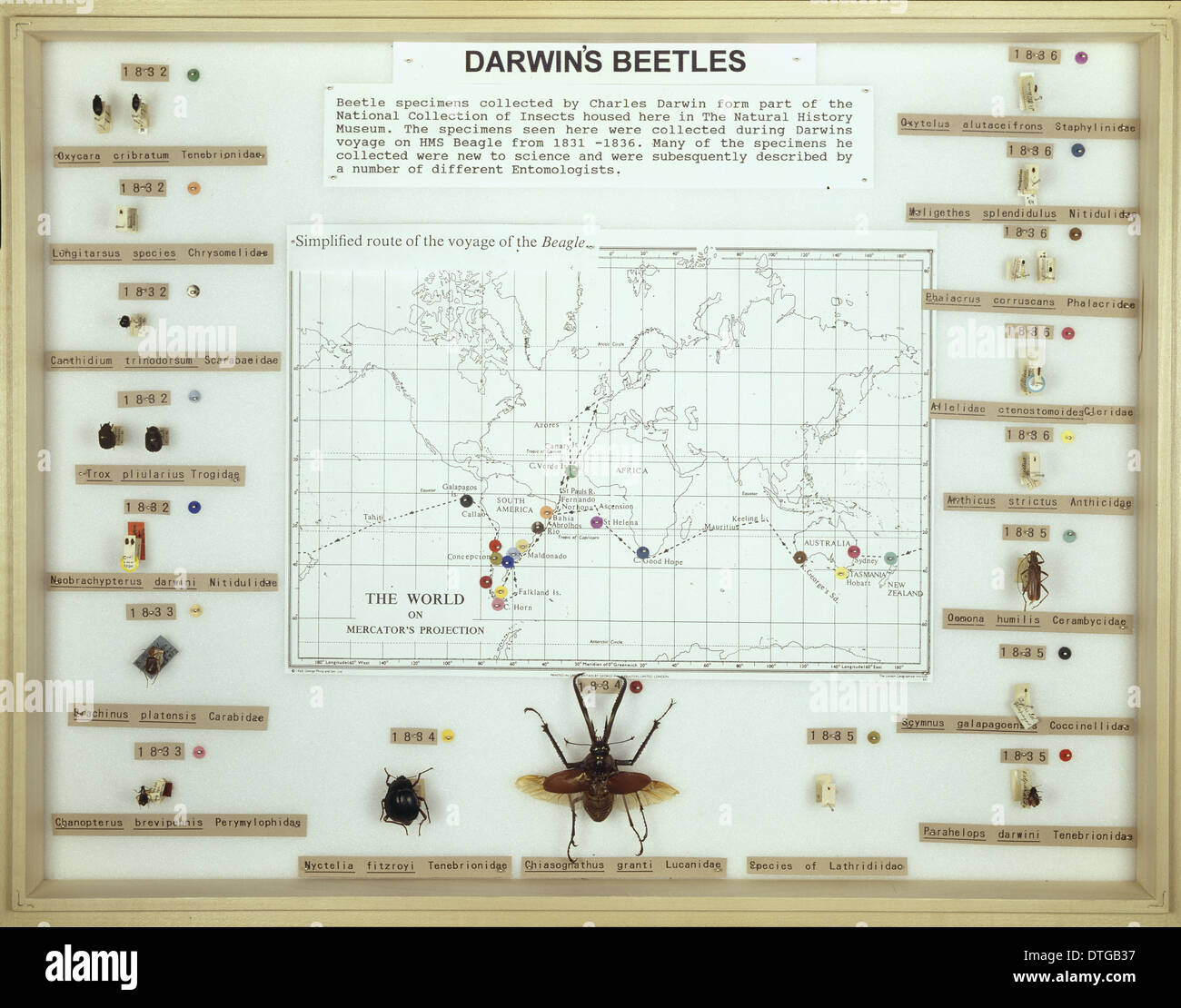 Charles darwin beagle map hi-res stock photography and images - Alamy