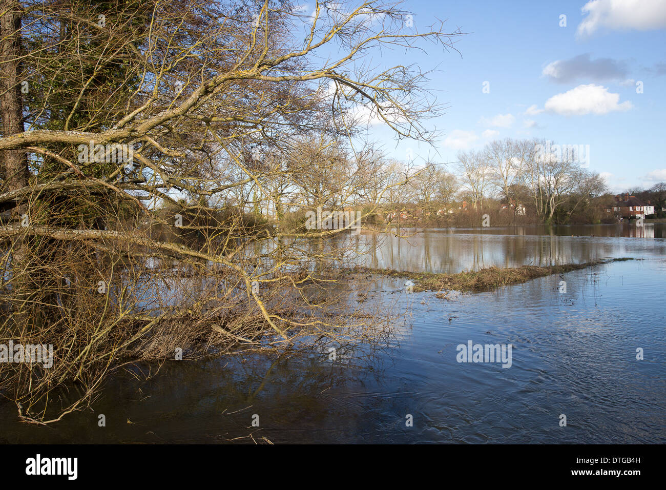 Winter flooding River Thames Stock Photo - Alamy