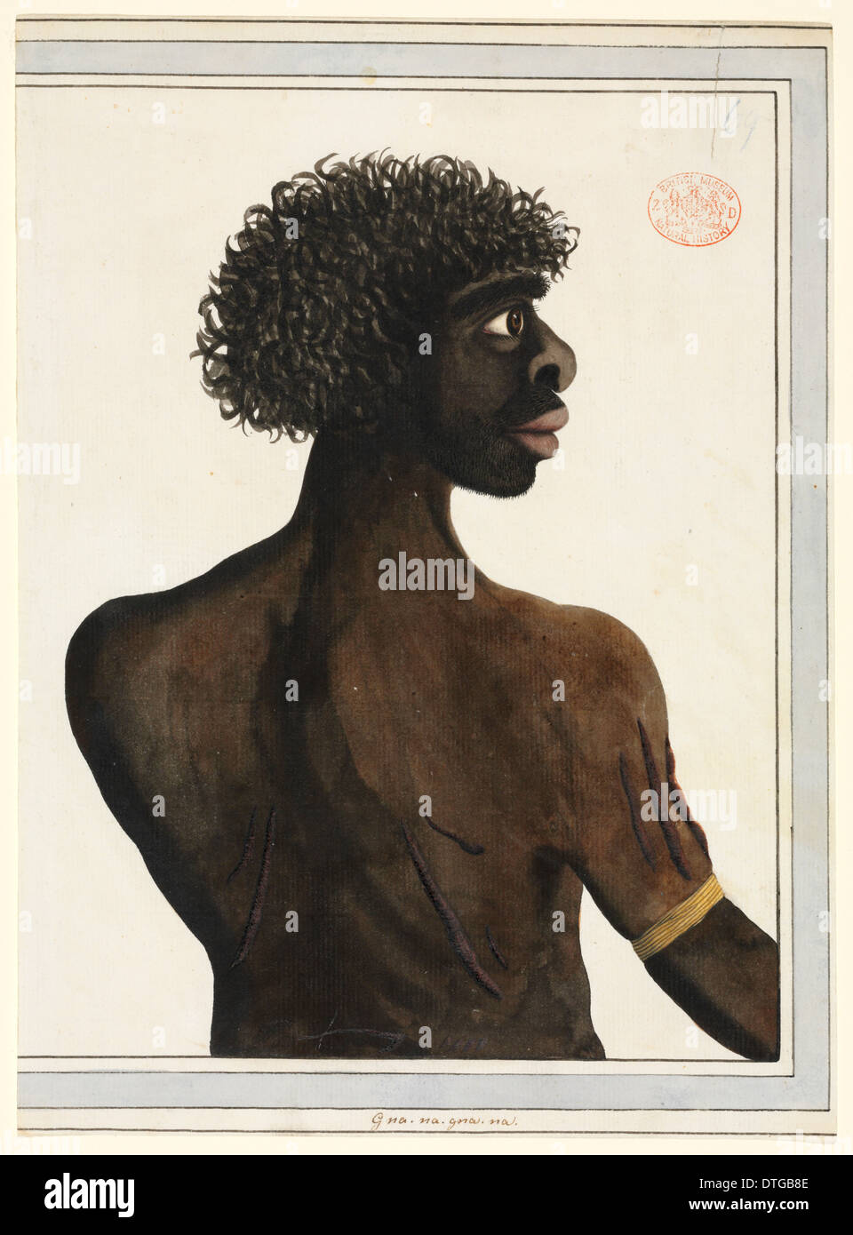 Portrait of an aboriginal man Stock Photo - Alamy