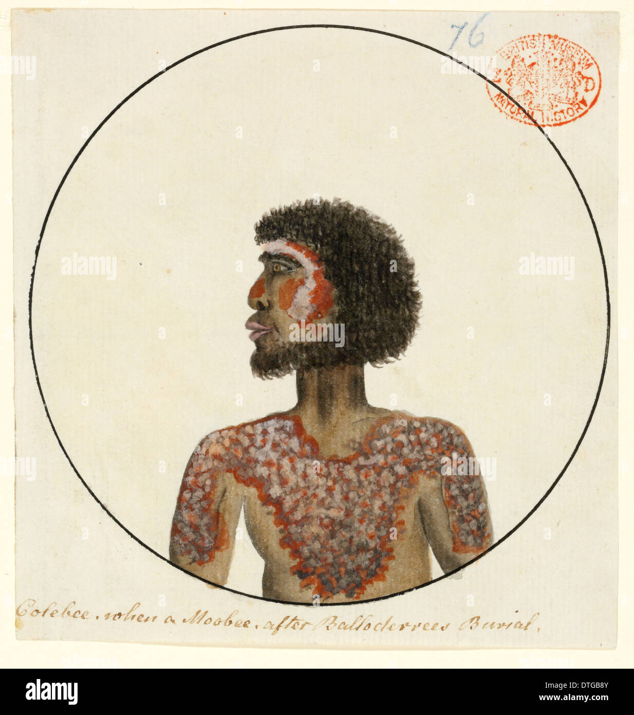 Portrait of an Aboriginal man named Colebee, decorated for a funeral ...