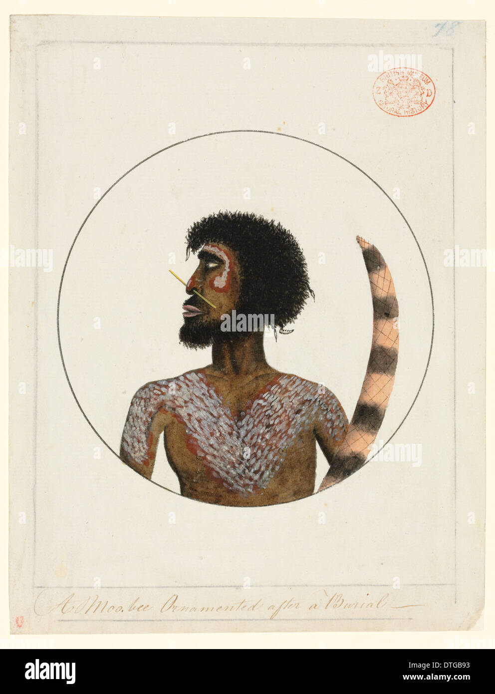 Portrait of an Aboriginal man decorated for a funeral Stock Photo - Alamy
