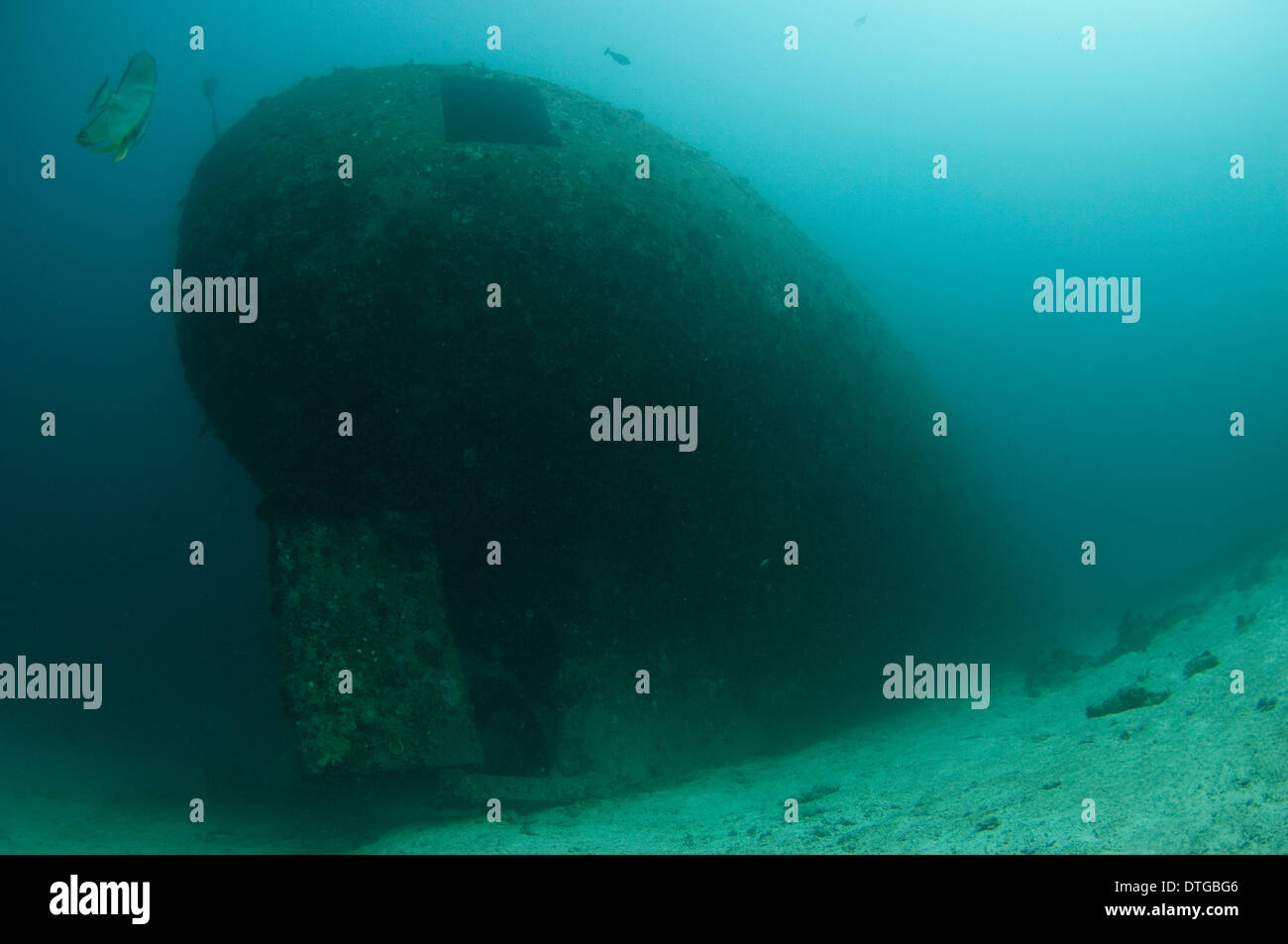 Machchafushi Wreck, South Ari Atoll, The Maldives Stock Photo - Alamy