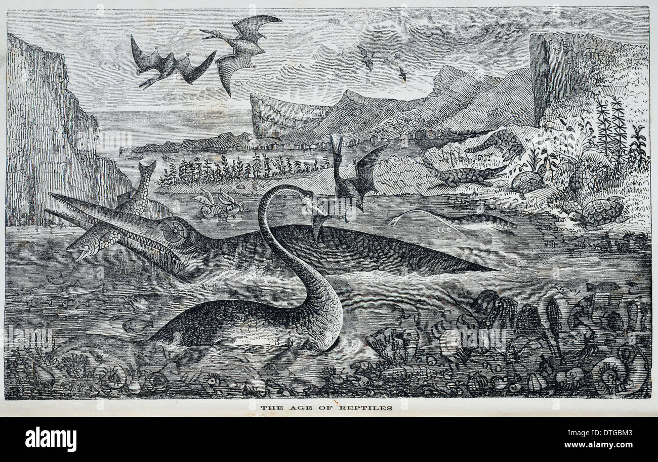 Ichthyosaurus, Pterodactylus, Plesiosaurus Stock Photo - Alamy