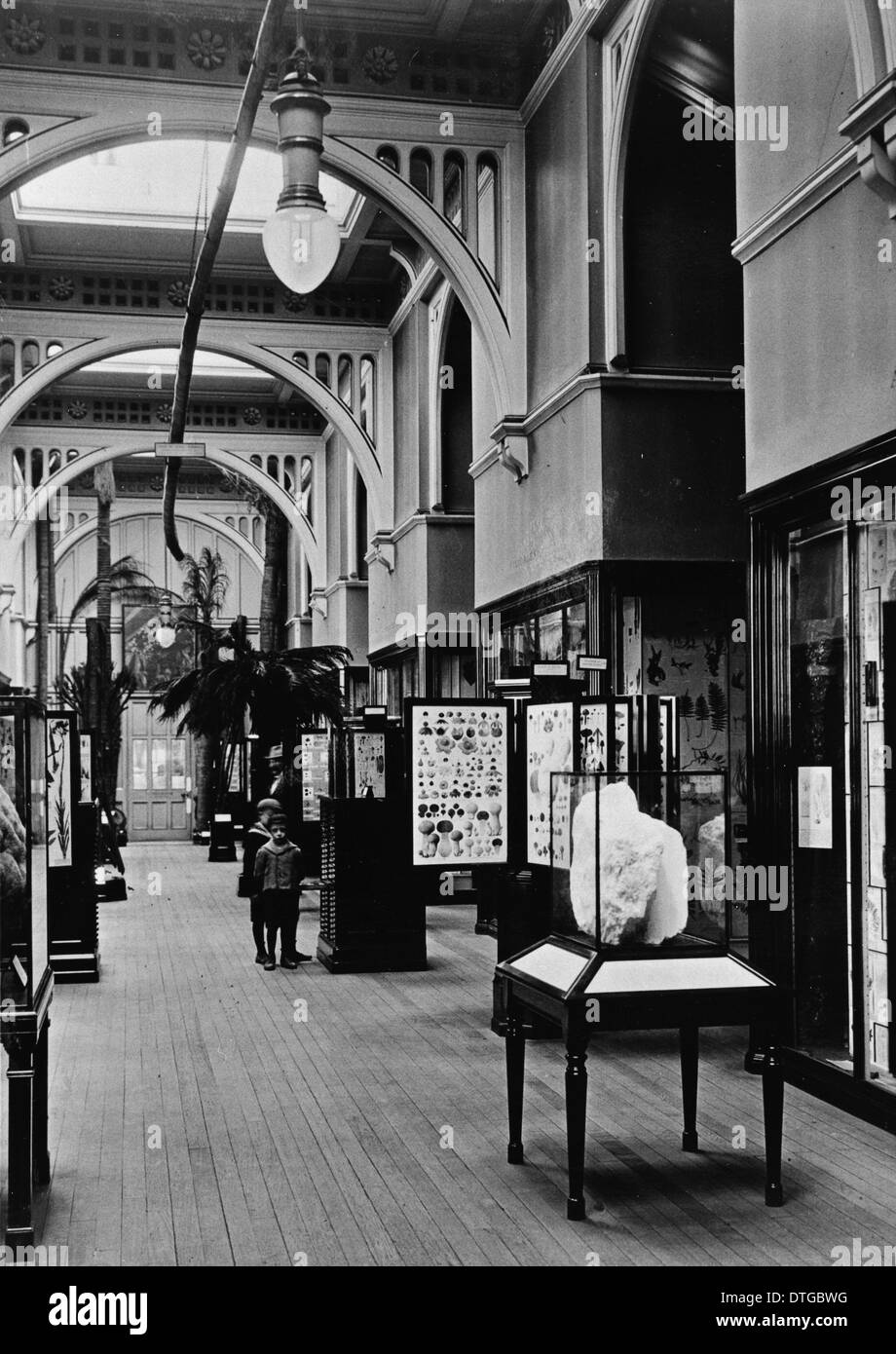 20th century botany hi-res stock photography and images - Alamy