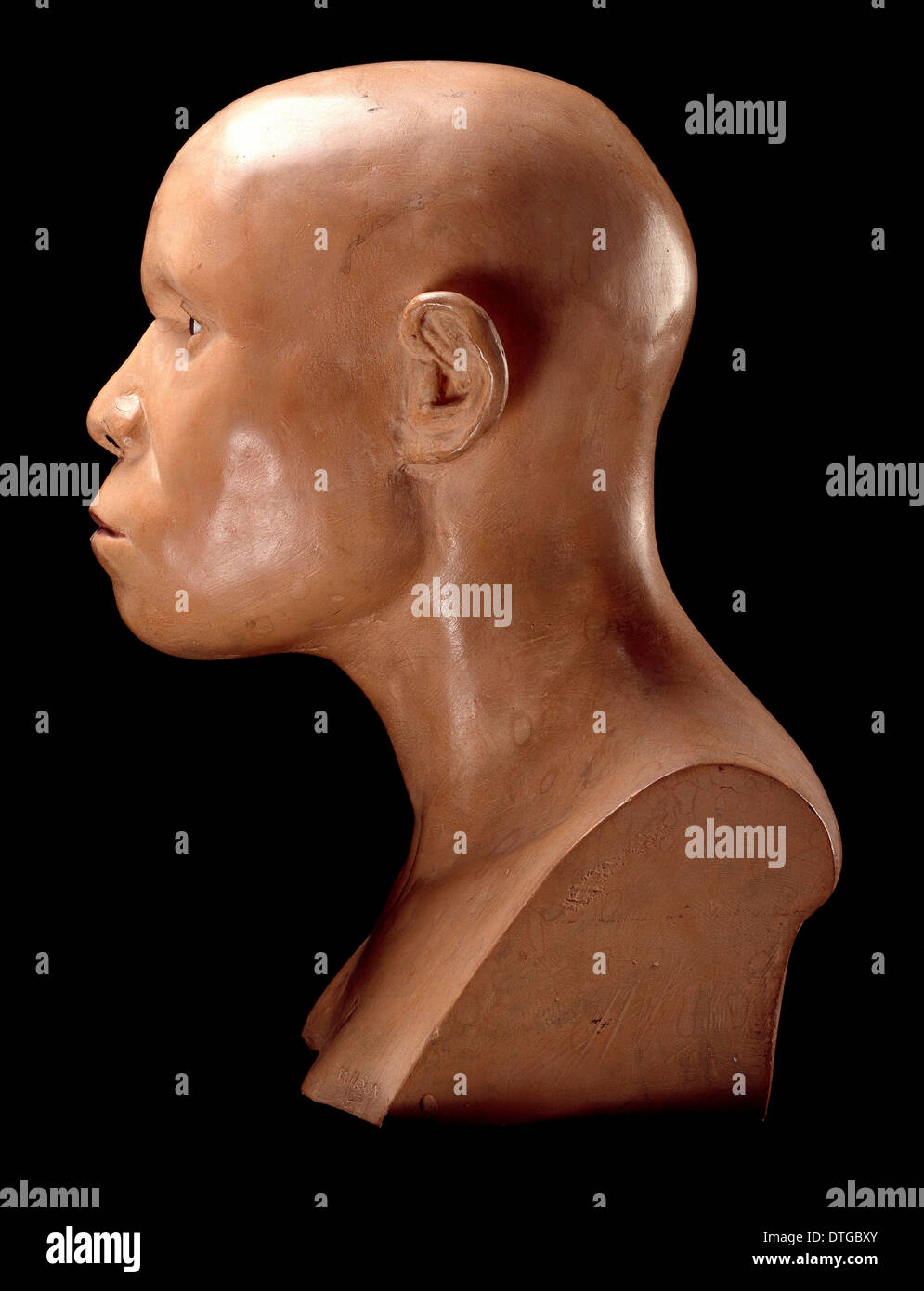 Piltdown Man (Model based on Piltdown 1 & 2 Stock Photo - Alamy