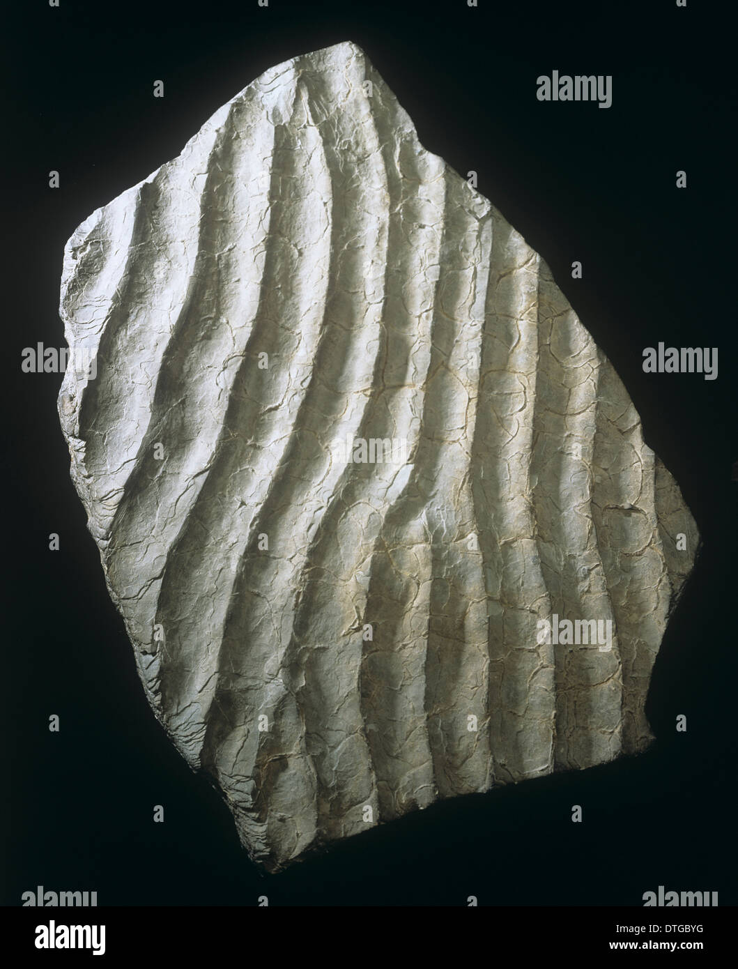 Ripple marked sandstone hi-res stock photography and images - Alamy