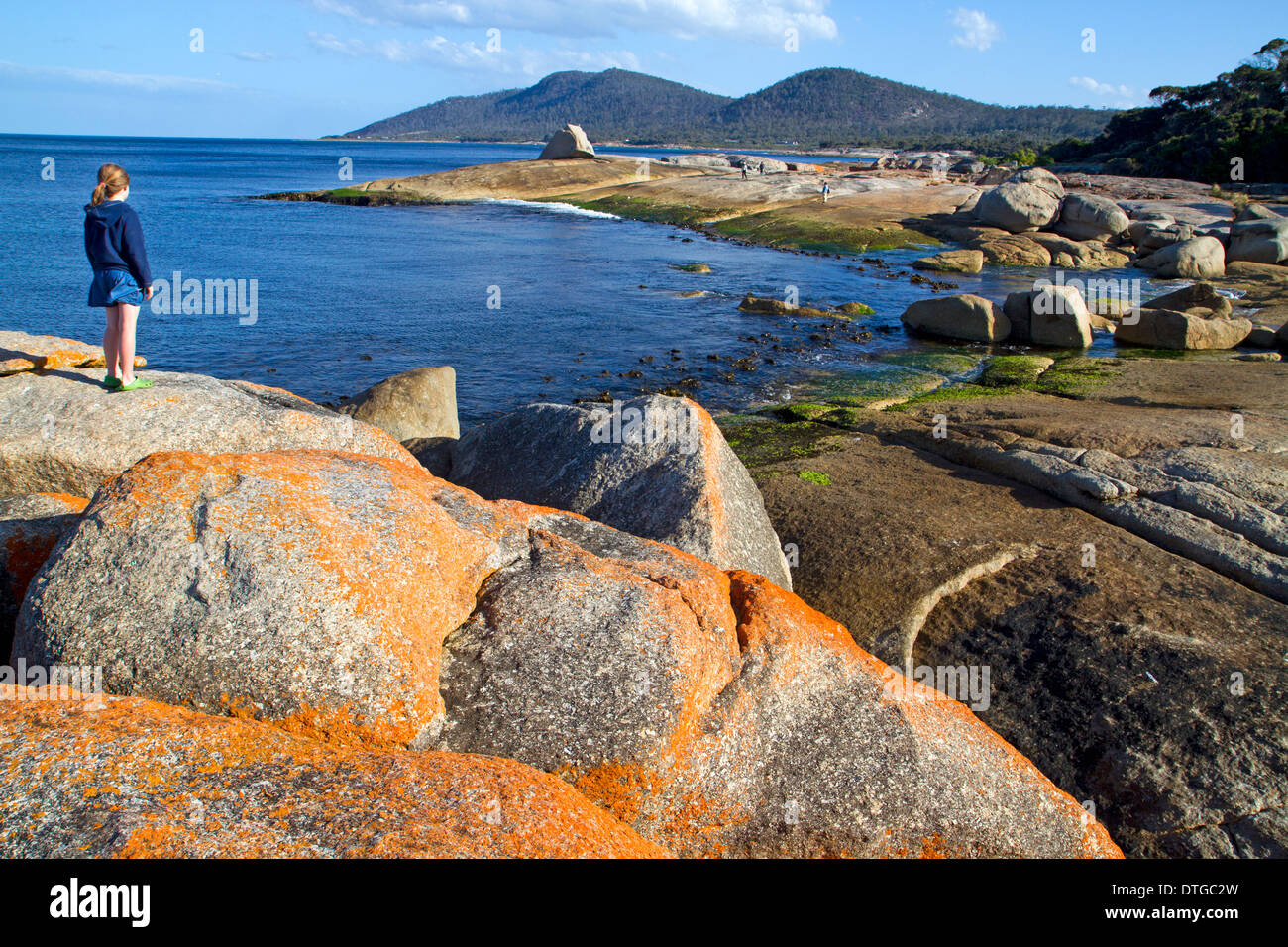 Coastline at the Blowhole, Bicheno Stock Photo - Alamy