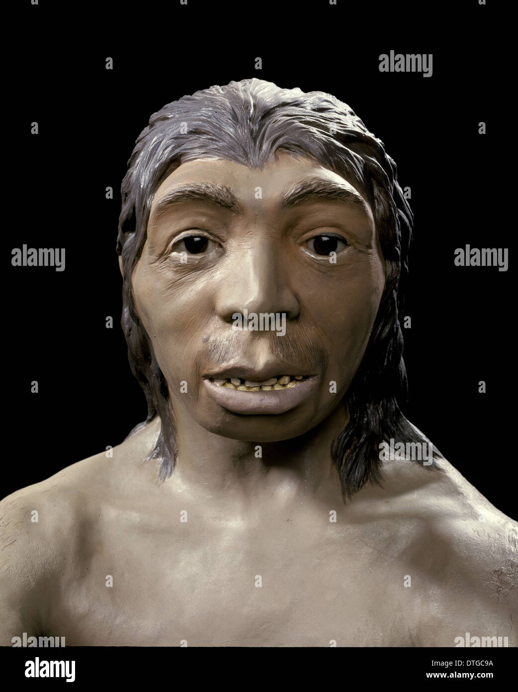 Neanderthal reconstruction hi-res stock photography and images - Alamy