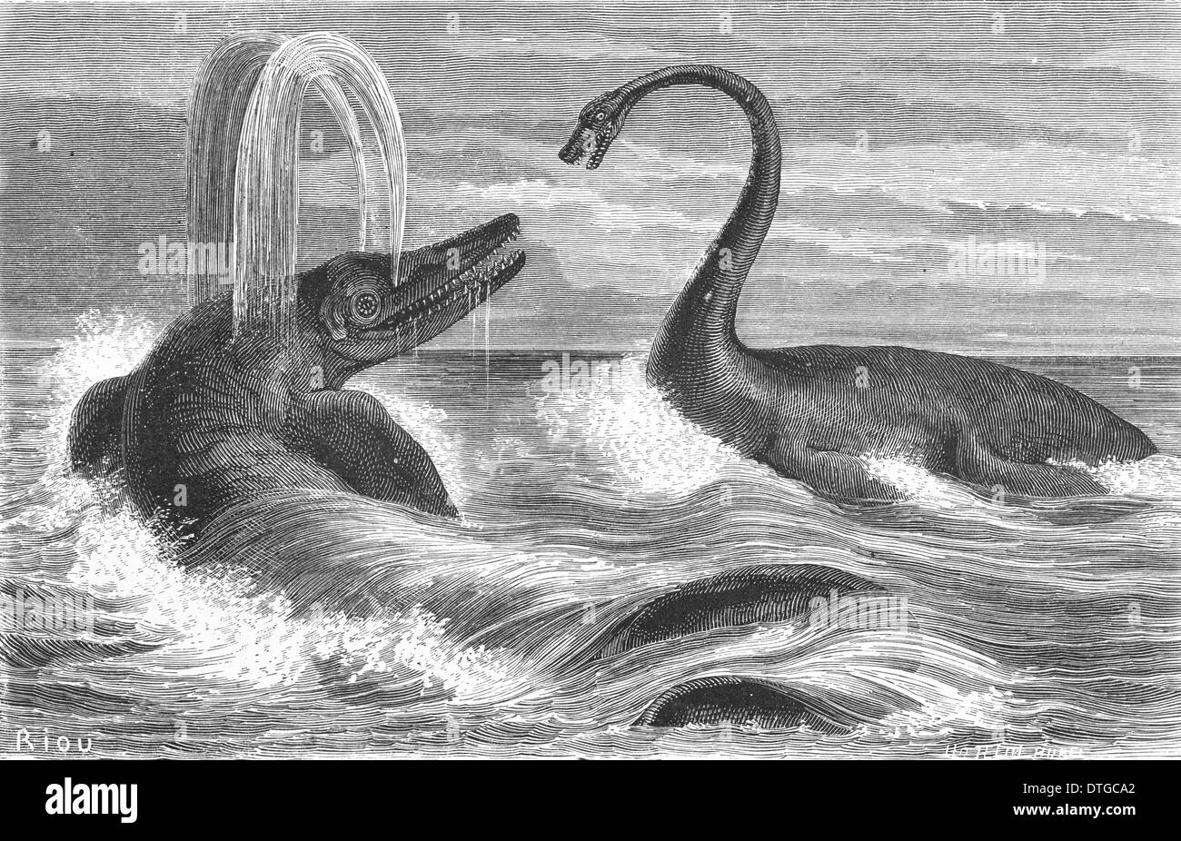 Ichthyosaurus plesiosaurus hi-res stock photography and images - Alamy