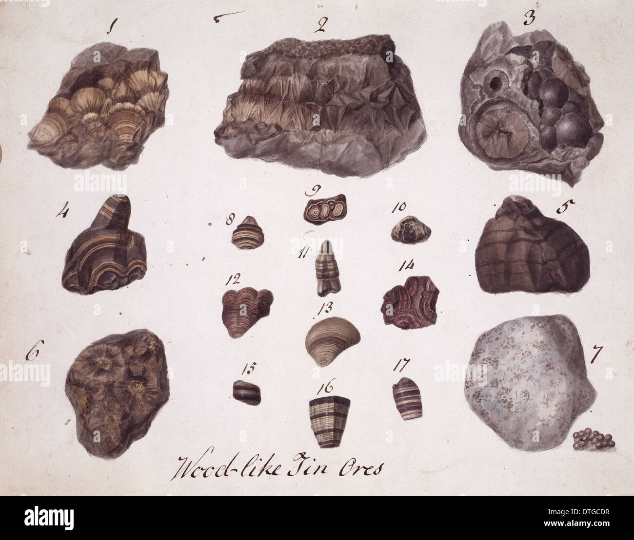 Plate 1 from Specimens of British Minerals? vol. 1 by P. Rashleigh ...