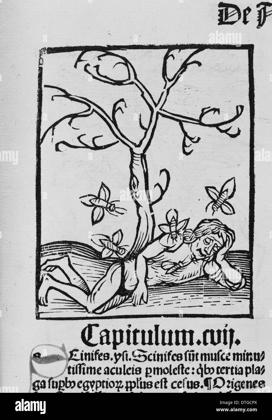 Man tormented by insects Stock Photo - Alamy