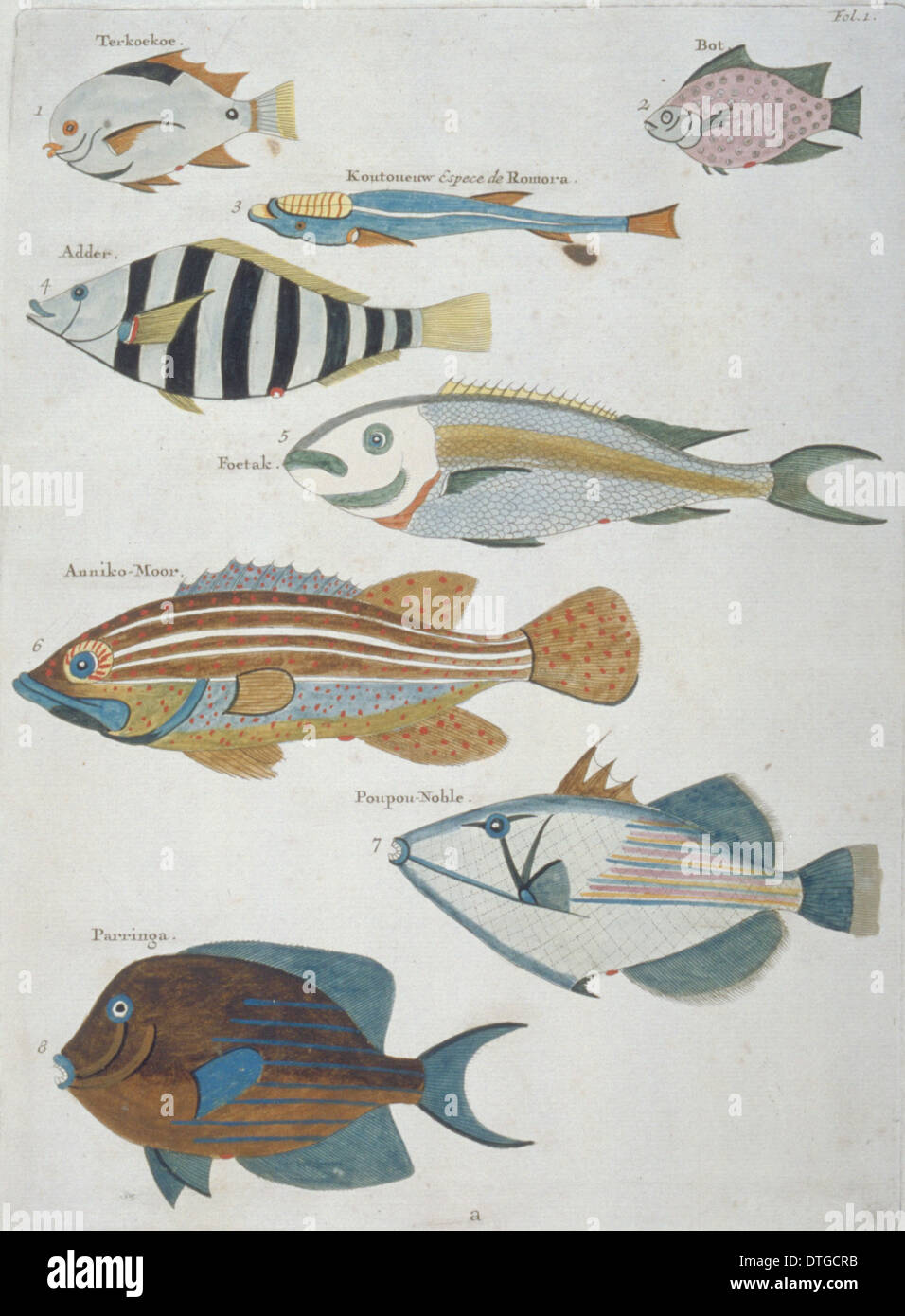 Colourful illustration of eight fish Stock Photo - Alamy