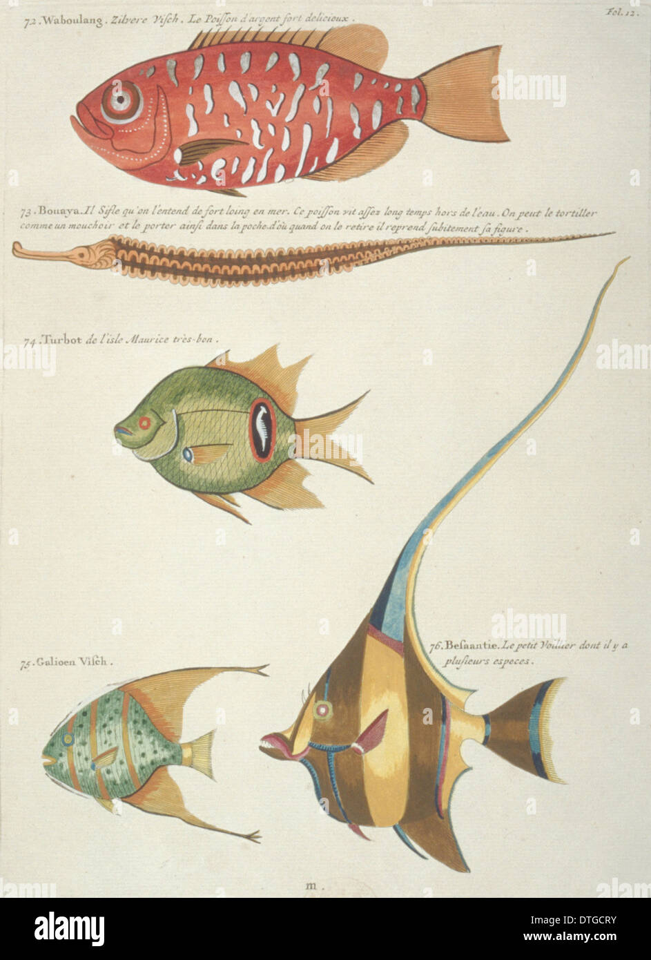 Colourful illustration of five fish Stock Photo - Alamy