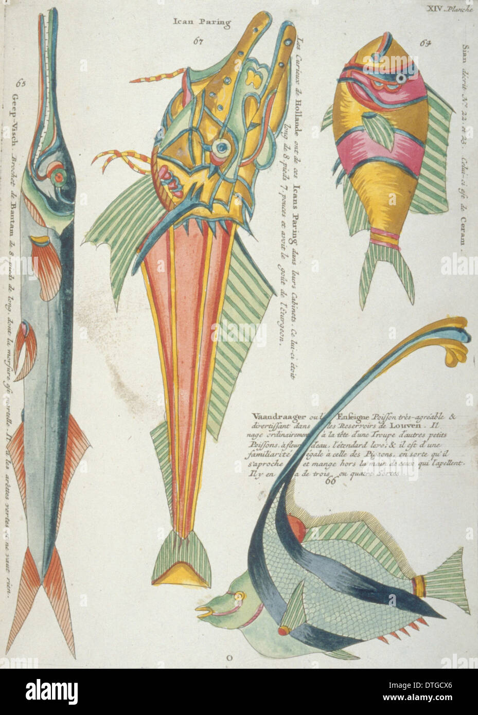 Fish scales illustration hi-res stock photography and images - Alamy